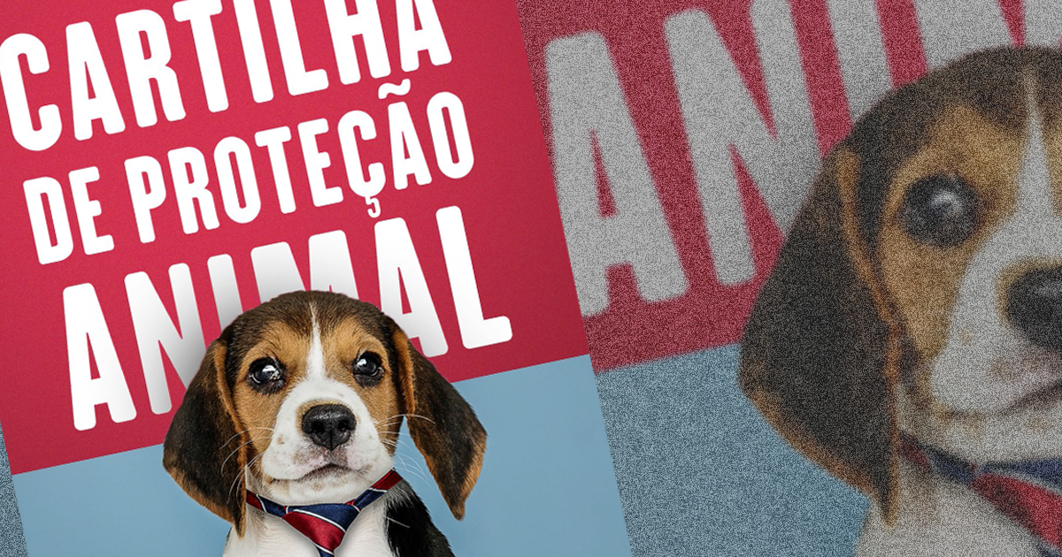 OAB Paraná disponibiliza cartilha sobre Proteção Animal